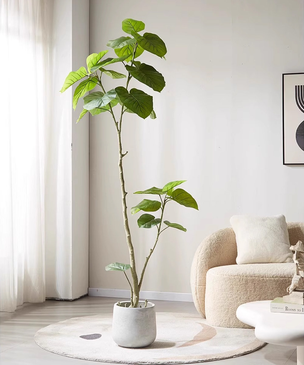 Primrue Bonsai Plant in Polypropylene Pot | Wayfair