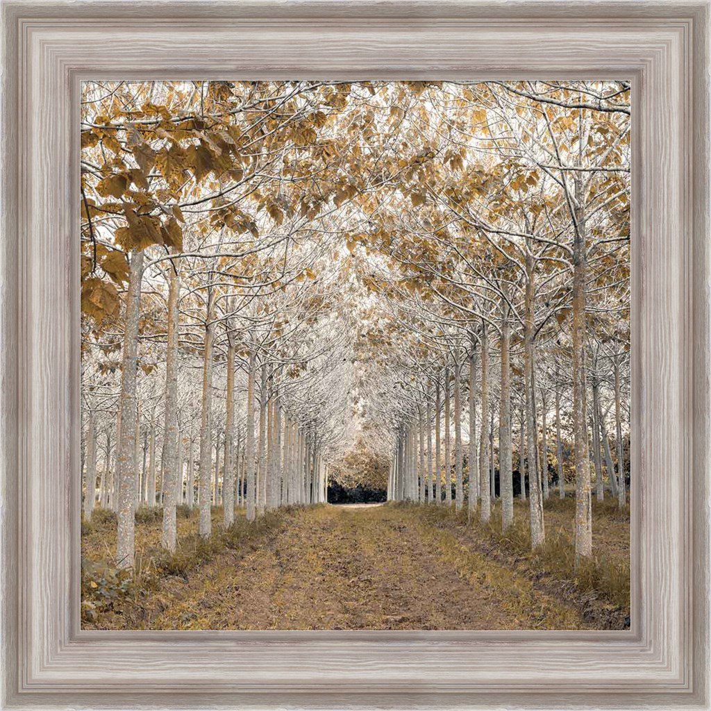 Loon Peak® White Gold By Assaf Frank, Framed Wall Art | Wayfair