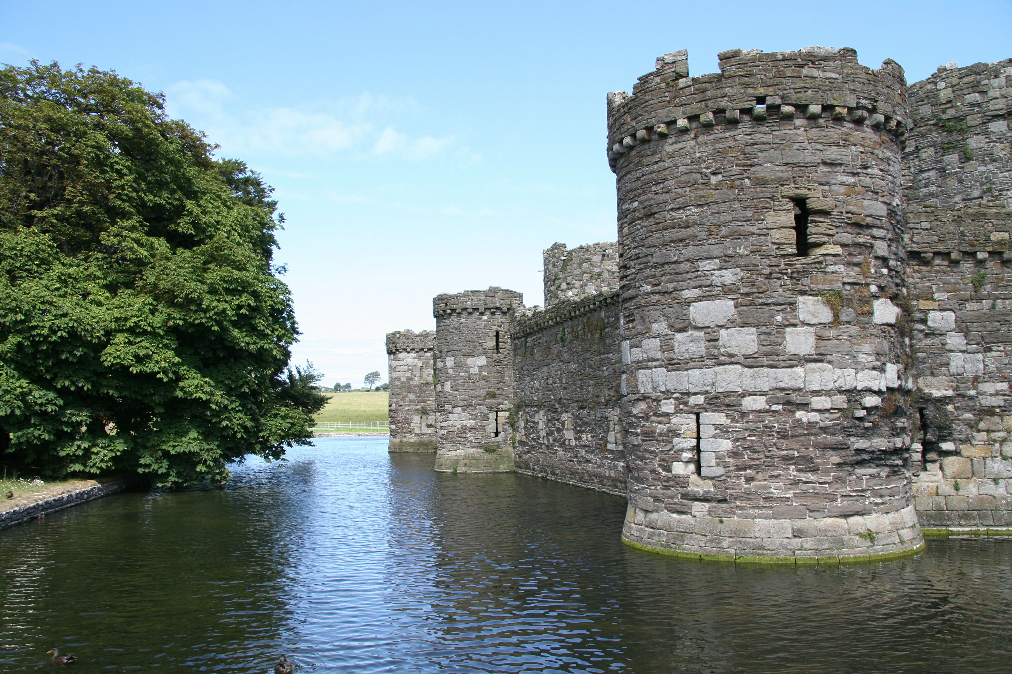 Ebern Designs Moated Castle | Wayfair