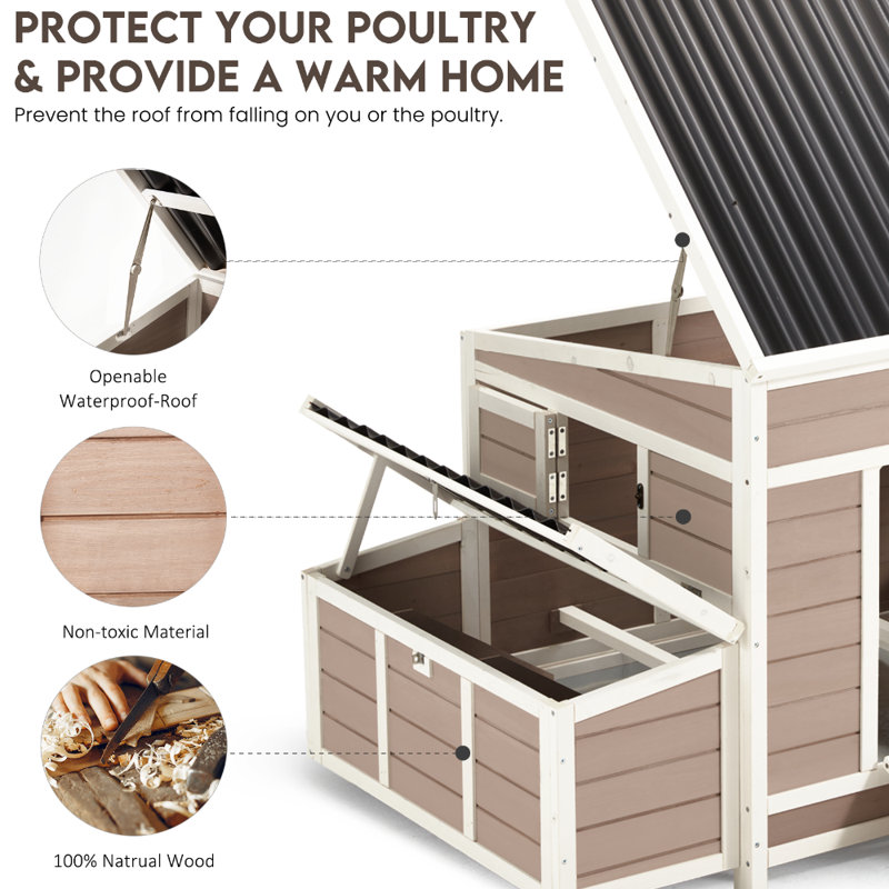 Tucker Murphy Pet™ Chicken Coop, 56" Large Wooden Chicken Hutch With 6 ...