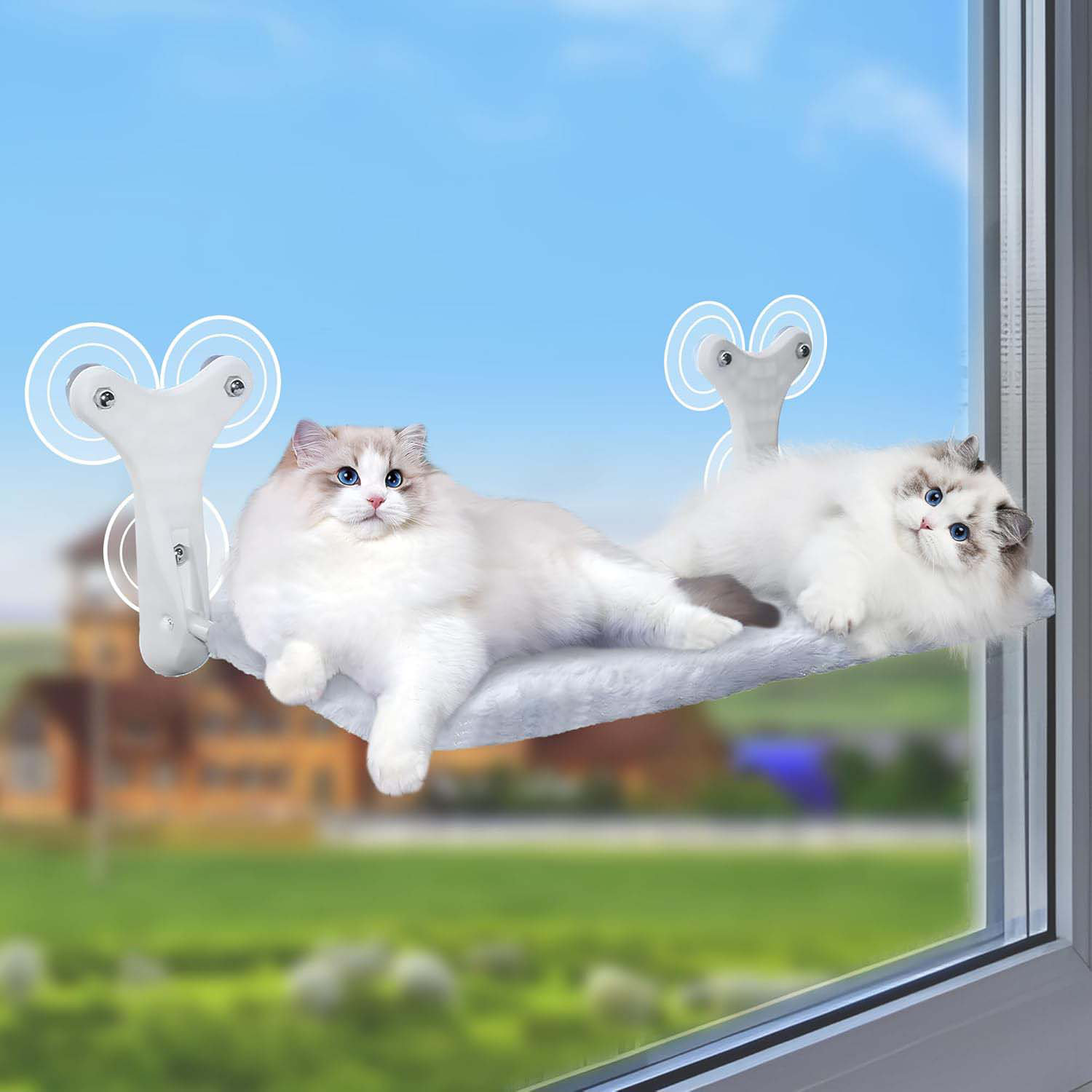 cat window frame
