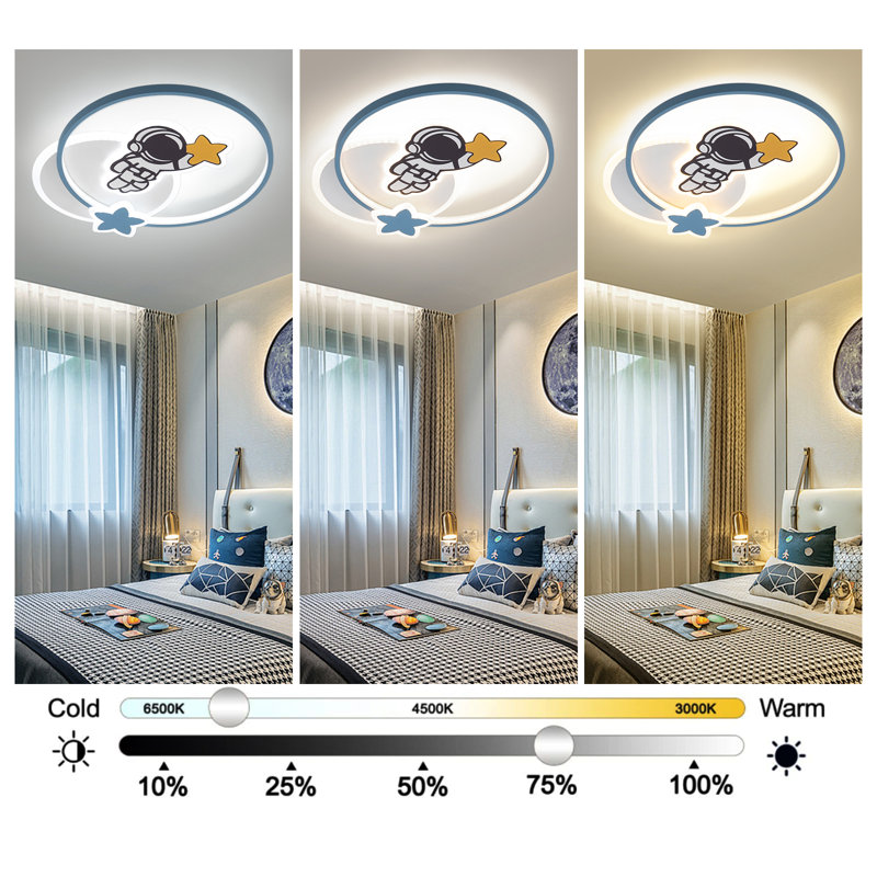 Zoomie Kids Dimmable LED Ceiling Light With Remote Control | Wayfair
