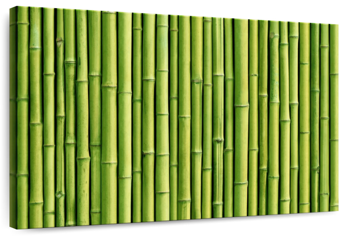 Lark Manor Harnek Fresh Bamboo Fence - Wayfair Canada