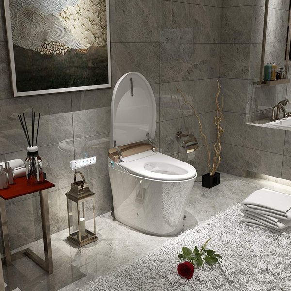 Cosvalve 1.28 GPF Elongated Chair Height Floor Mounted Bidet Toilet ...