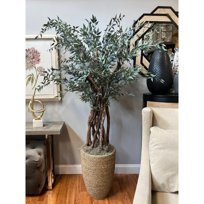 Creative Displays, Inc. 6.5' Faux Italian Ruscus Tree in Seagrass ...
