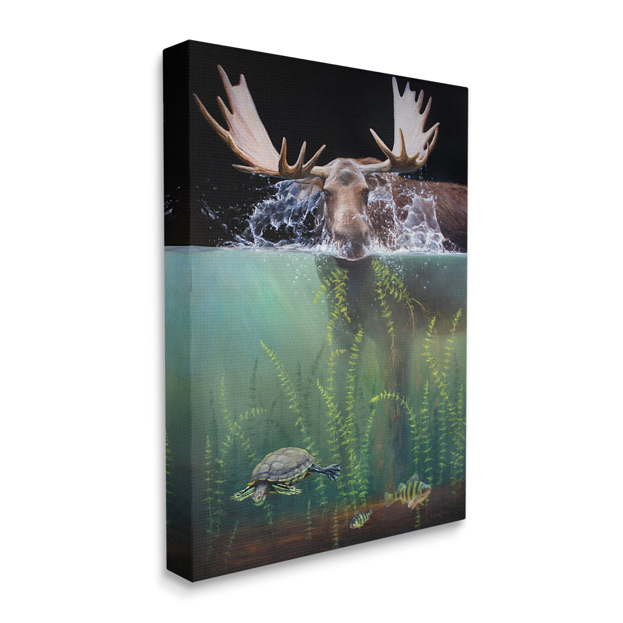Millwood Pines Moose Underwater View On Canvas by James Corwin Print ...