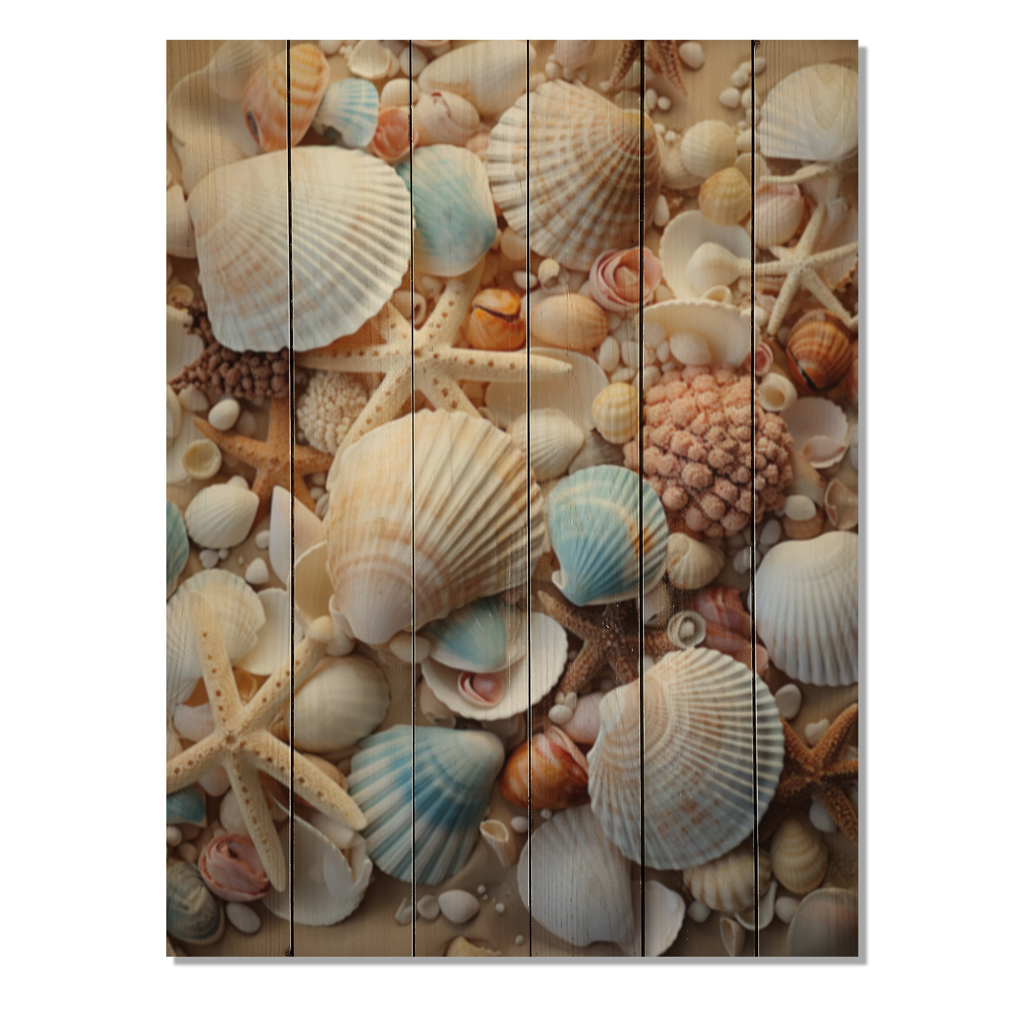 Rosecliff Heights Beach Photo Seashell Beauty I On Wood Print - Wayfair ...