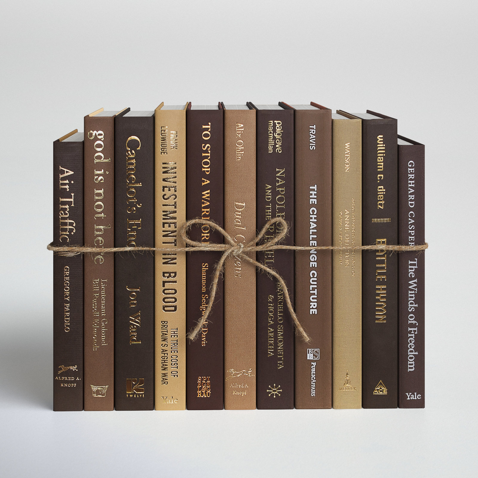 Joss & Main Modern Chocolate Serefina & Reviews | Wayfair