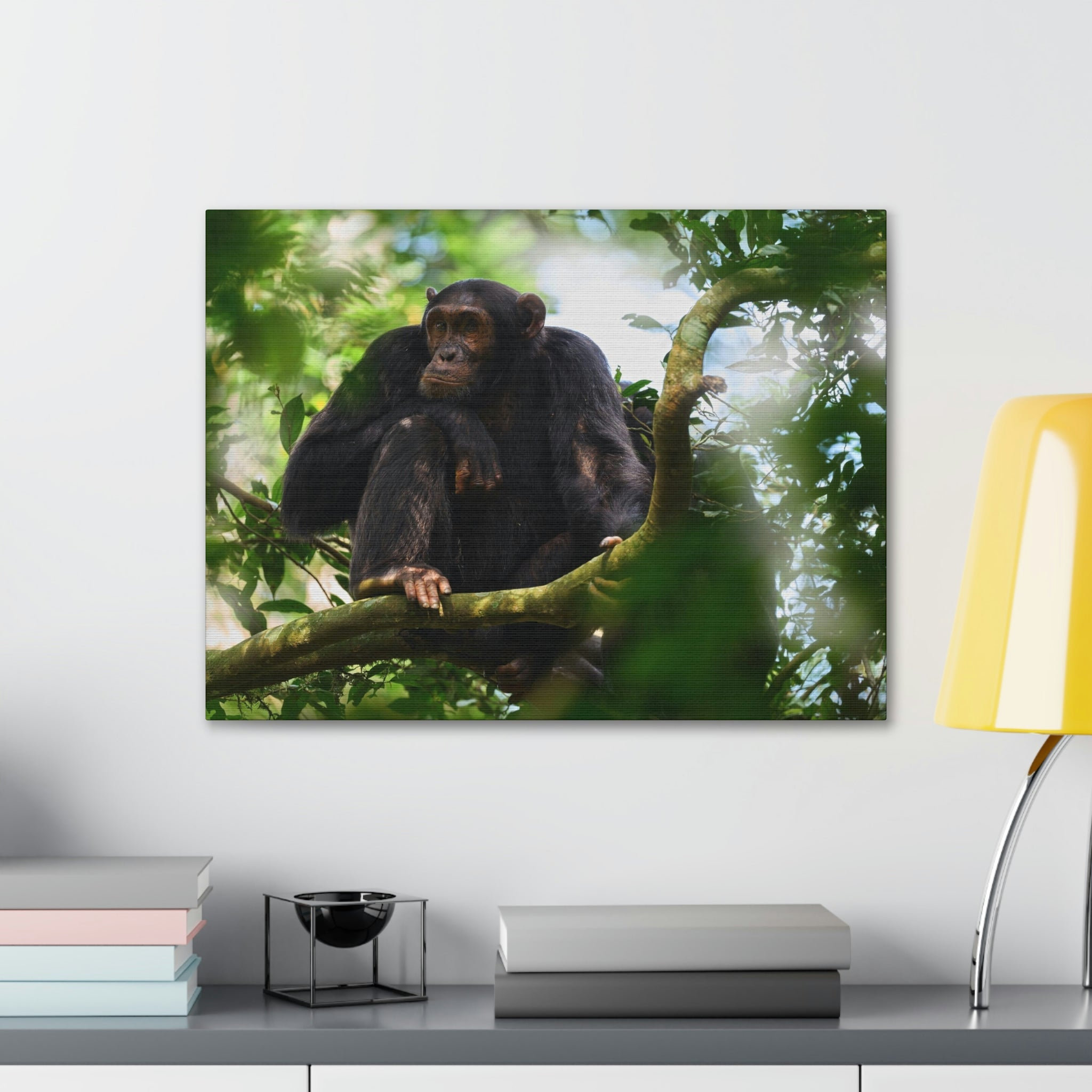 Ebern Designs Majestic Chimpanzee Art Majestic Chimpanzee Print Animal ...