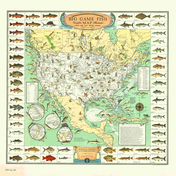 Trinx Big Game Fish Map On Canvas by Stellar Design Studios Print | Wayfair