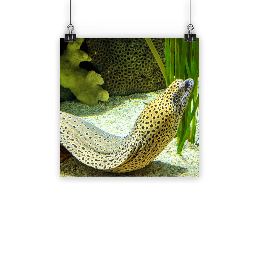 Highland Dunes Yellow Eel - Unframed Drawing Print | Wayfair
