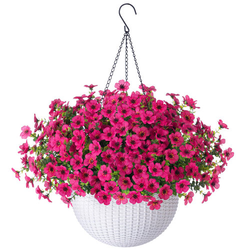 Primrue Daisy Hanging Basket Arrangement in Basket | Wayfair
