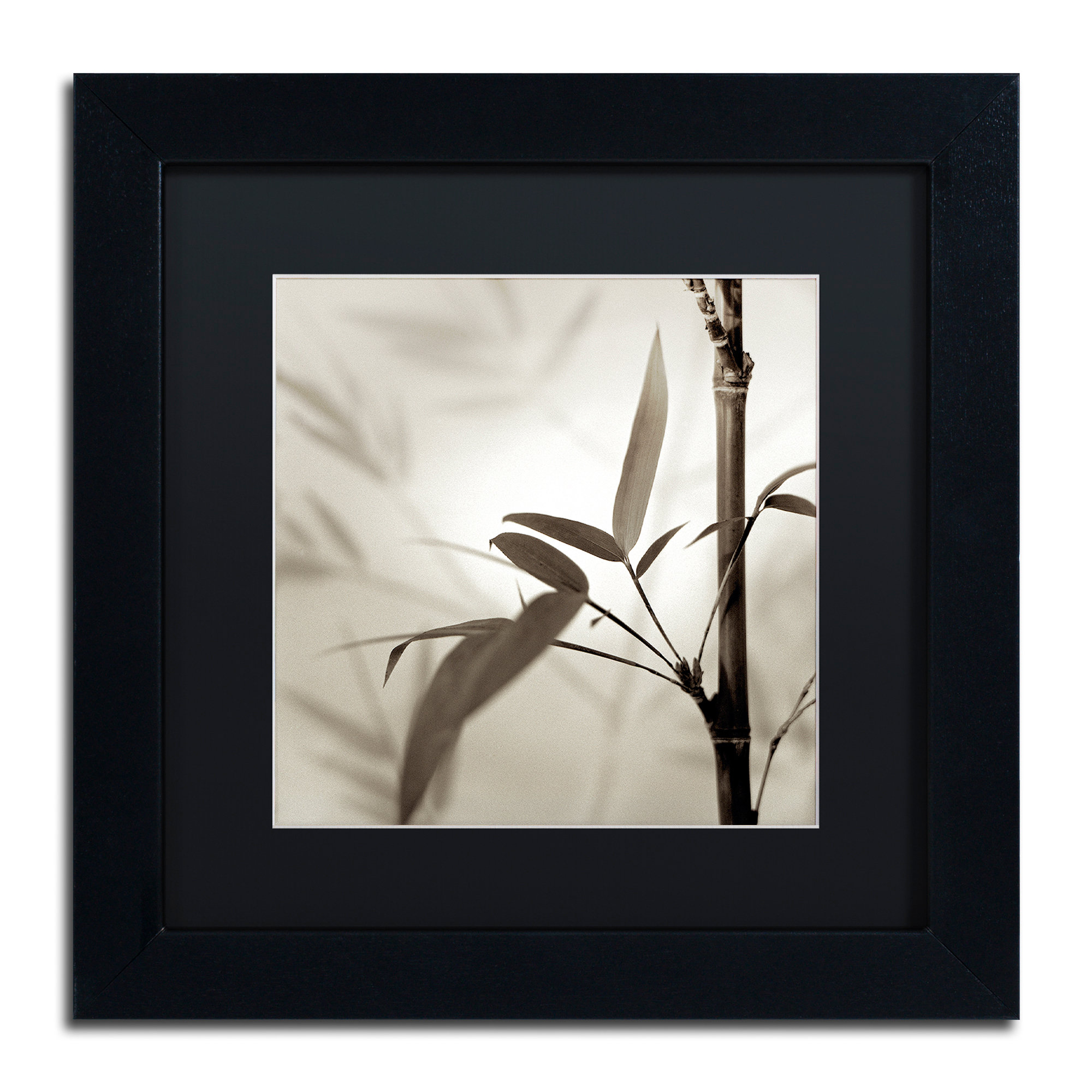 Bay Isle Home™ Alan Blaustein 'Florison 64' Framed Photographic Print ...