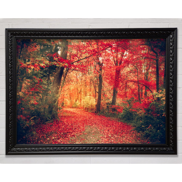 Bright Star Red Tree Walk - Single Picture Frame Print | Wayfair.co.uk