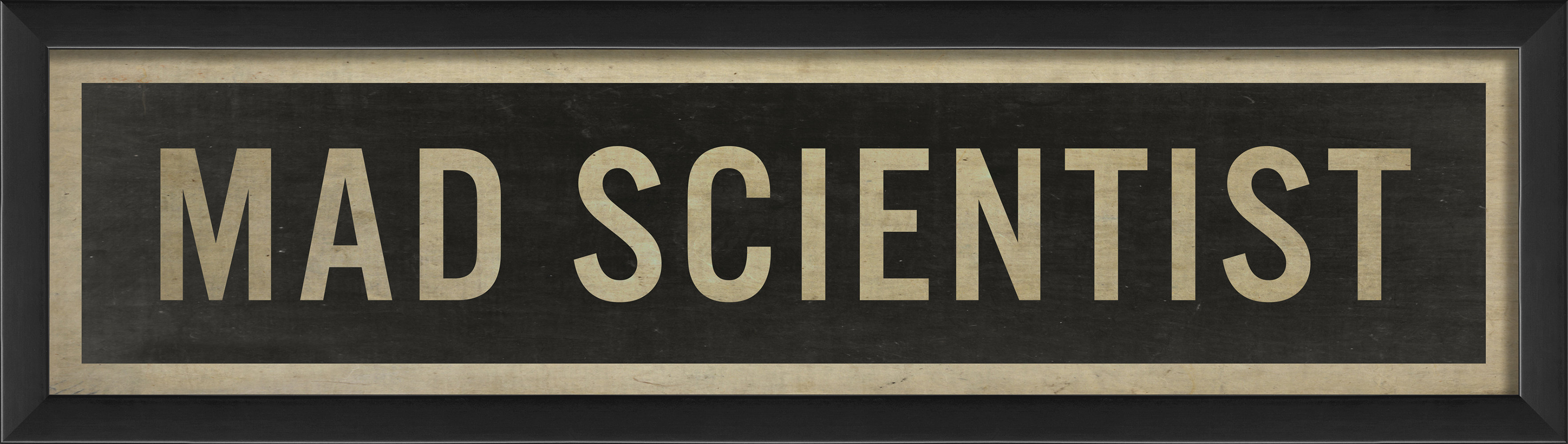 The Artwork Factory Sign Mad Scientist Framed Textual Art | Wayfair