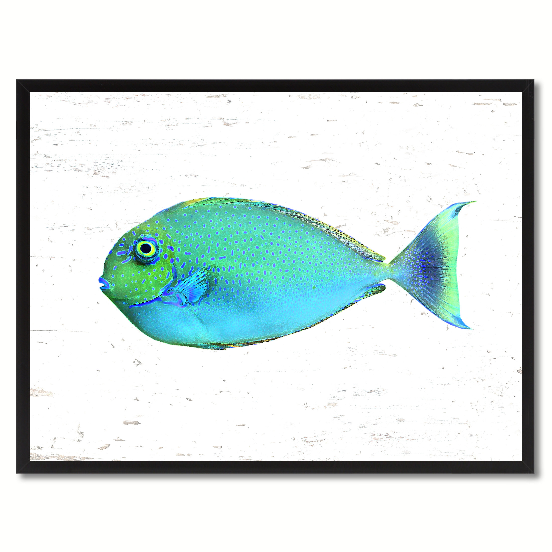 Highland Dunes Aqua Tropical Fish Painting, 28x37 | Wayfair