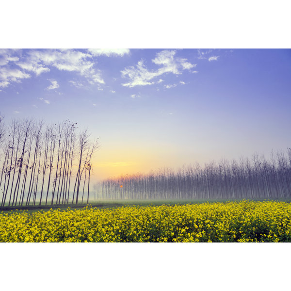 17 Stories View Of Mustard Fields by Prabhjits - Wrapped Canvas ...