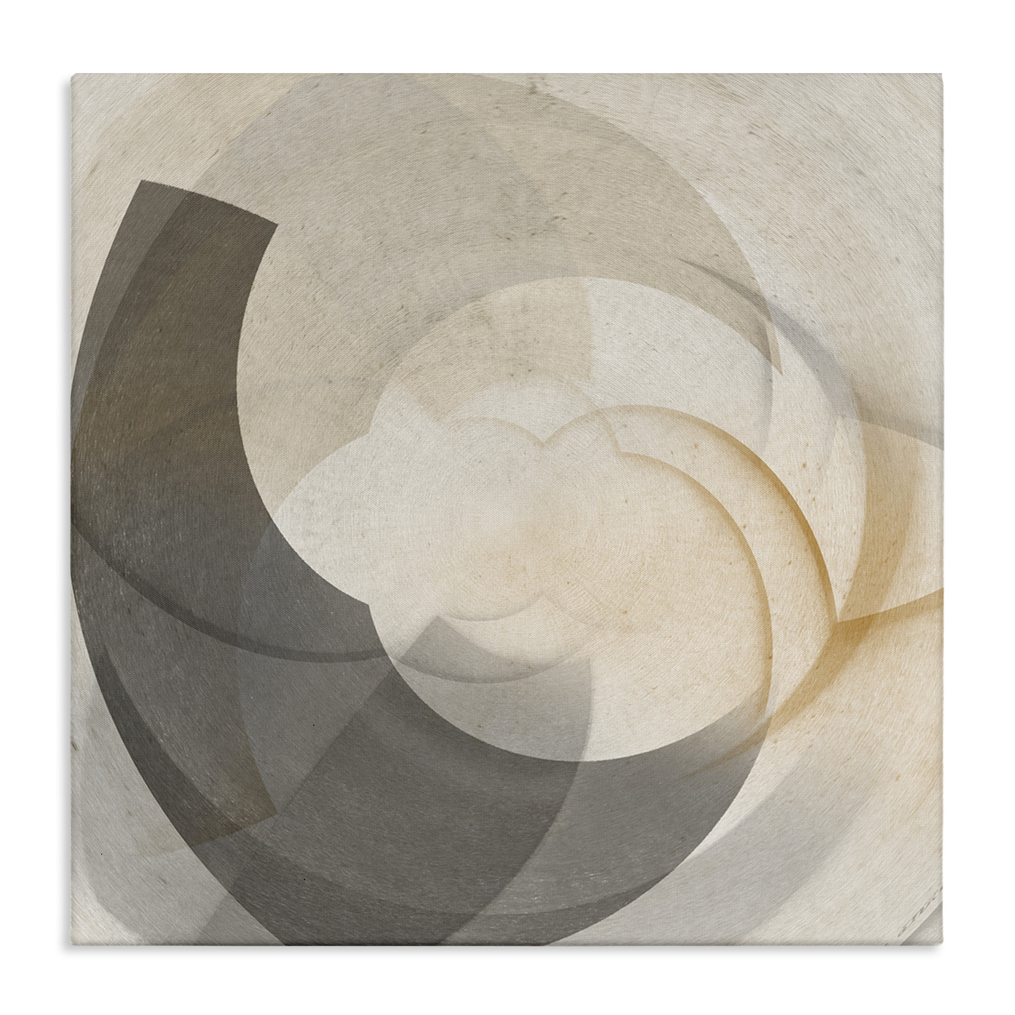 Wrought Studio™ Shadowed Swoop Abstraction Canvas Wall Art by Noah Bay ...