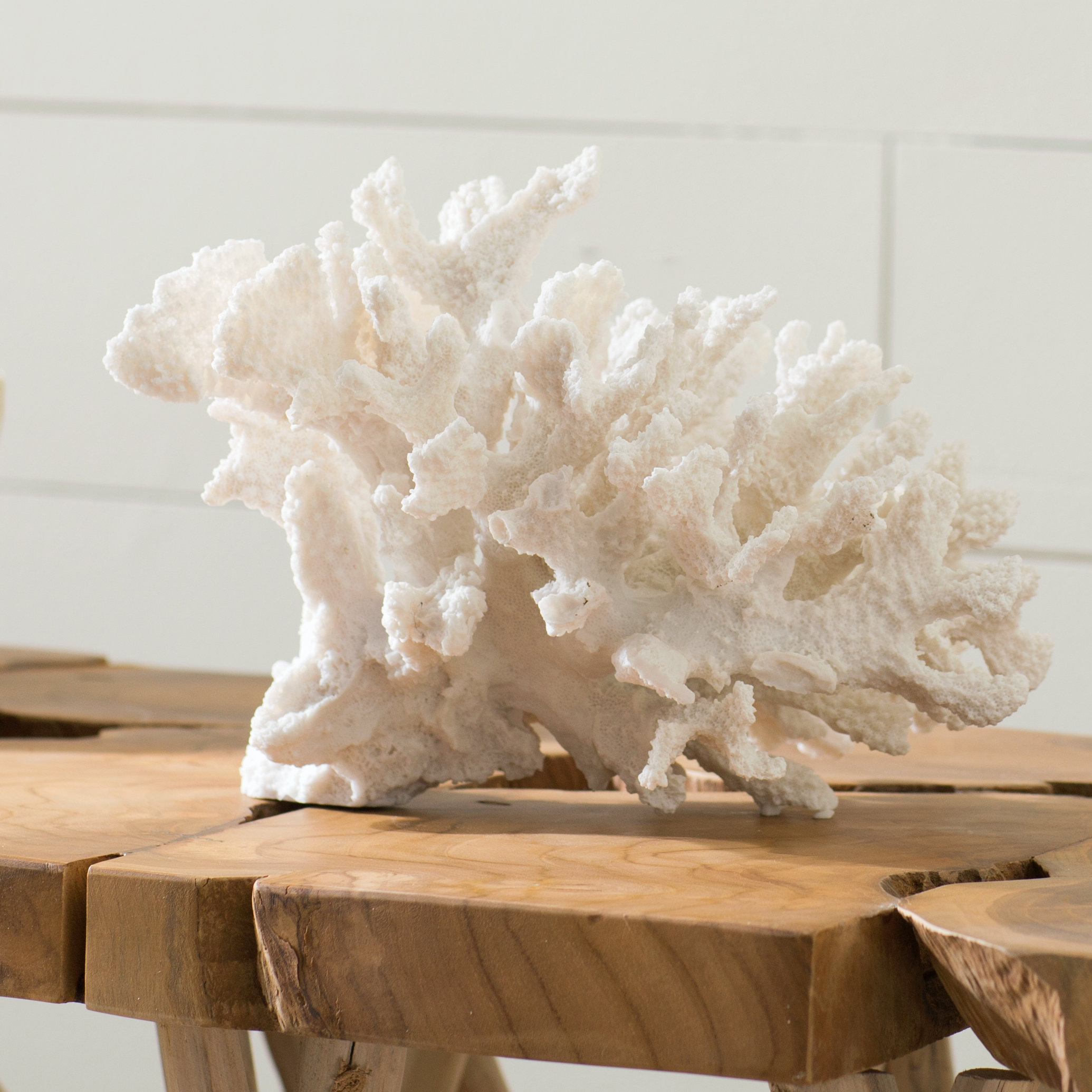 Birch Lane Kristen Landscape & Nature Figurines & Sculptures & Reviews ...