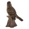 Hi-Line Gift Ltd. Songbird Standing on Stump Statue & Reviews | Wayfair