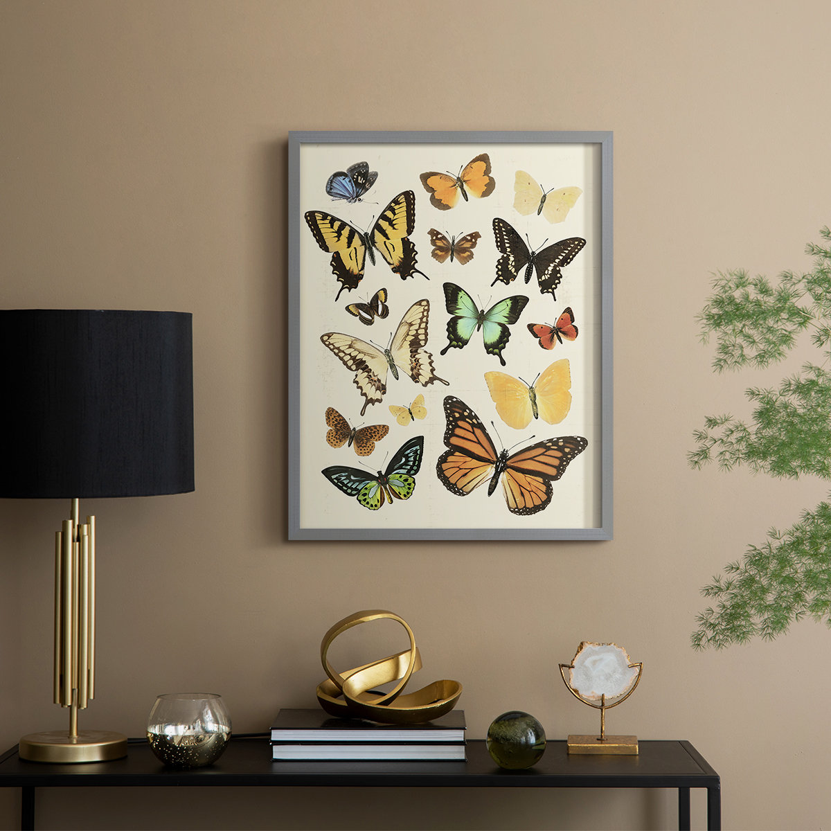 Ophelia & Co. Collected Flutter I Framed Print - Solid Wood | Wayfair