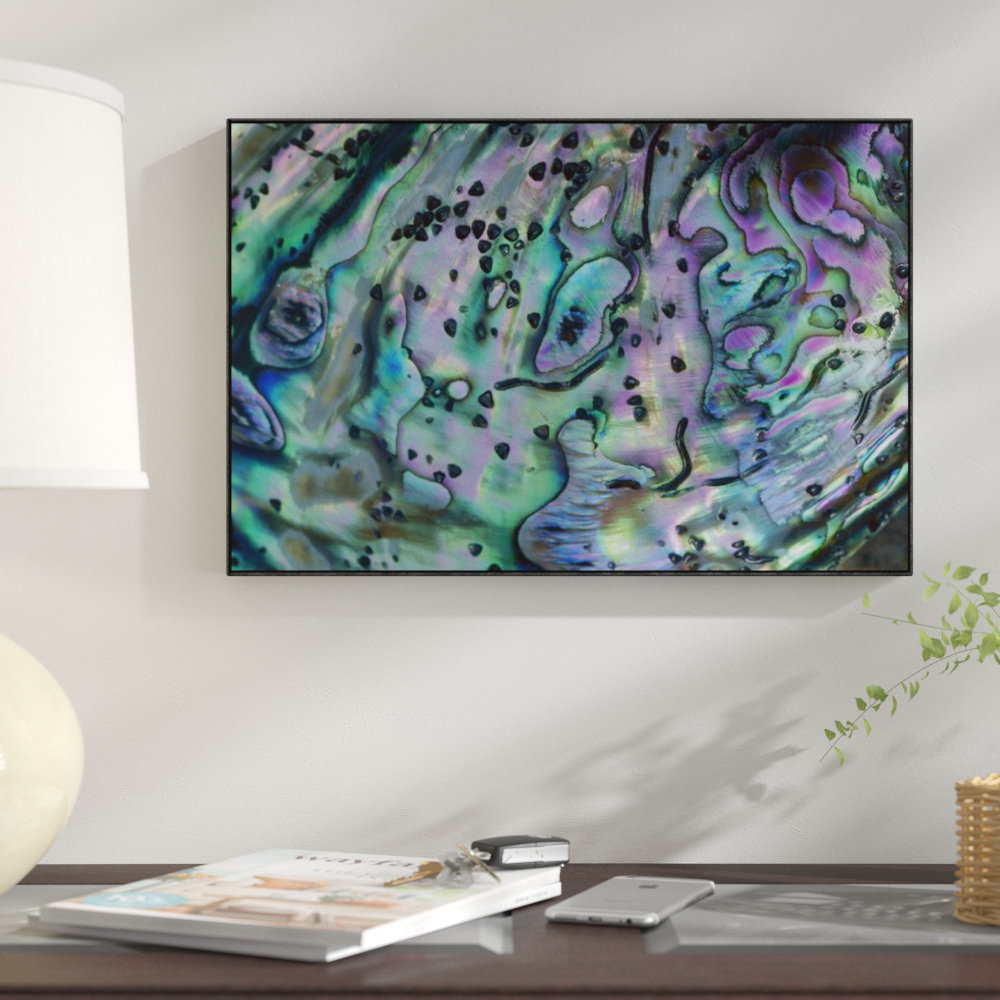 East Urban Home 'Rainbow Abalone, Inside Shell, New Zealand' Framed ...