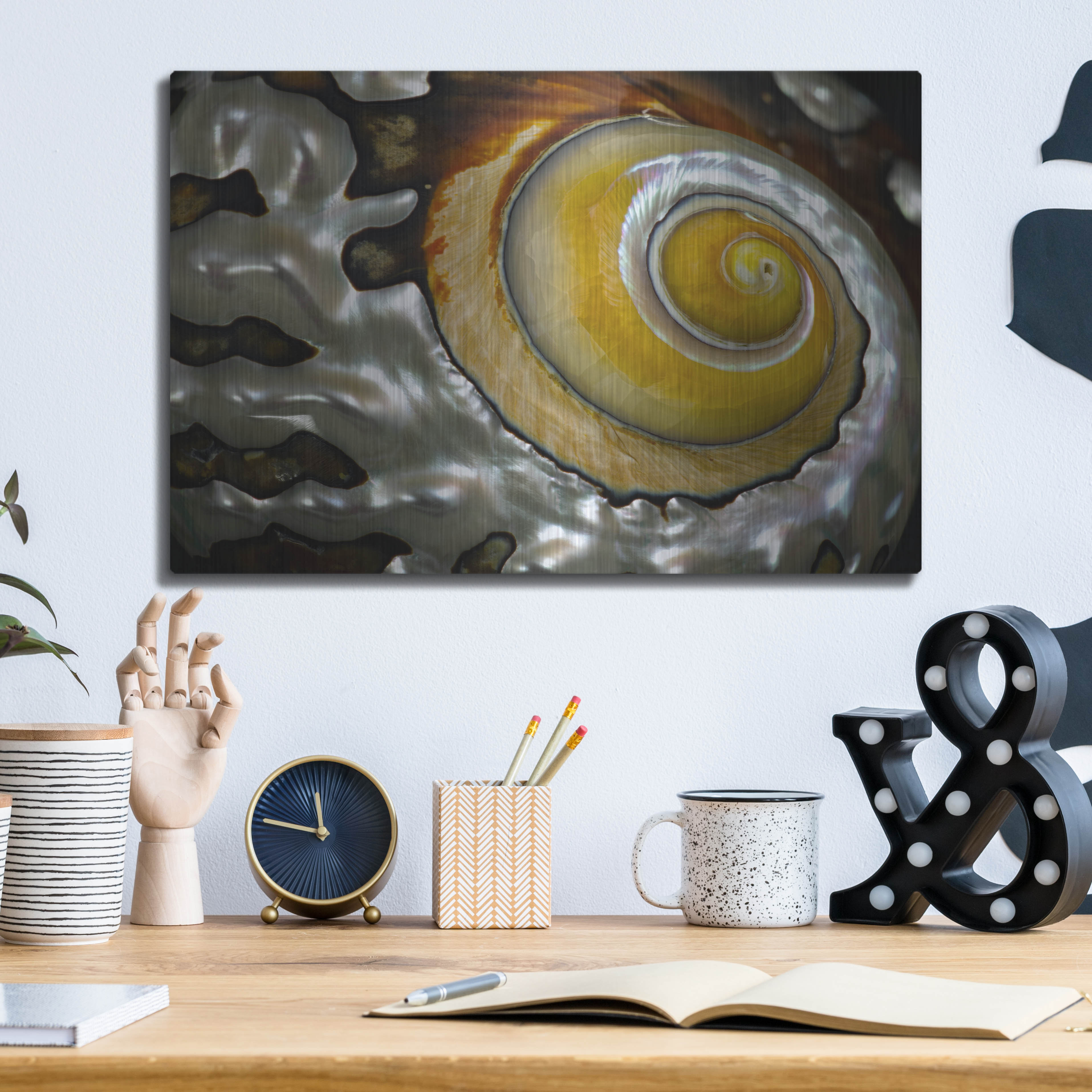 Highland Dunes " Shell Spiral II " by Dennis Frates | Wayfair