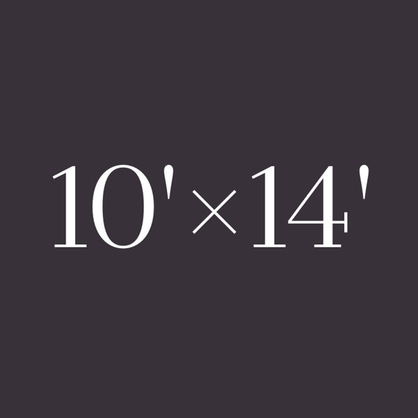 10'x14' Rugs | Joss & Main