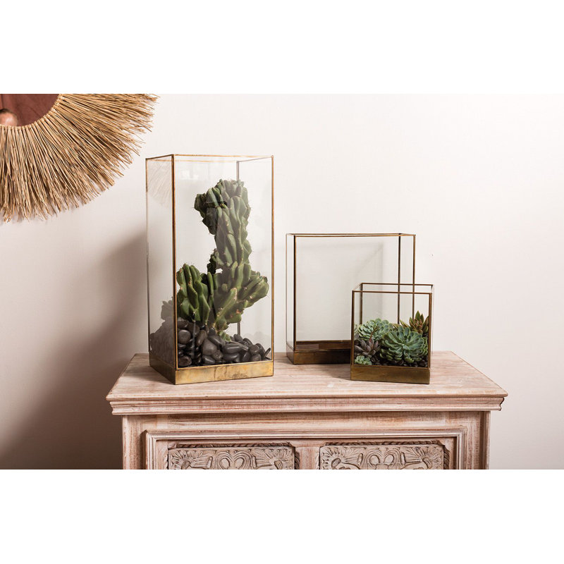 17 Stories Display Box | Wayfair
