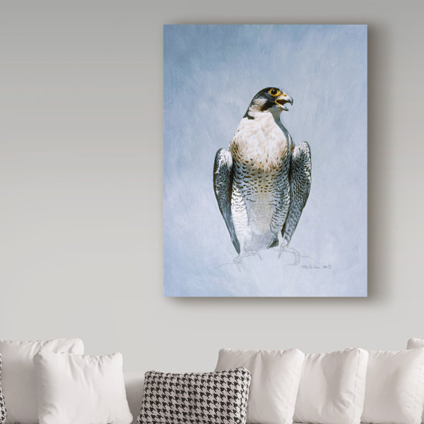 Trademark Art 'Peregrine Falcon' Graphic Art Print on Wrapped Canvas ...