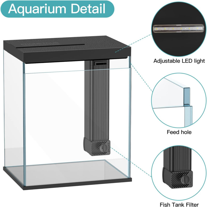 Tucker Murphy Pet™ Betta Fish Tank, 2 Gallon Glass Aquarium Starter Kit ...