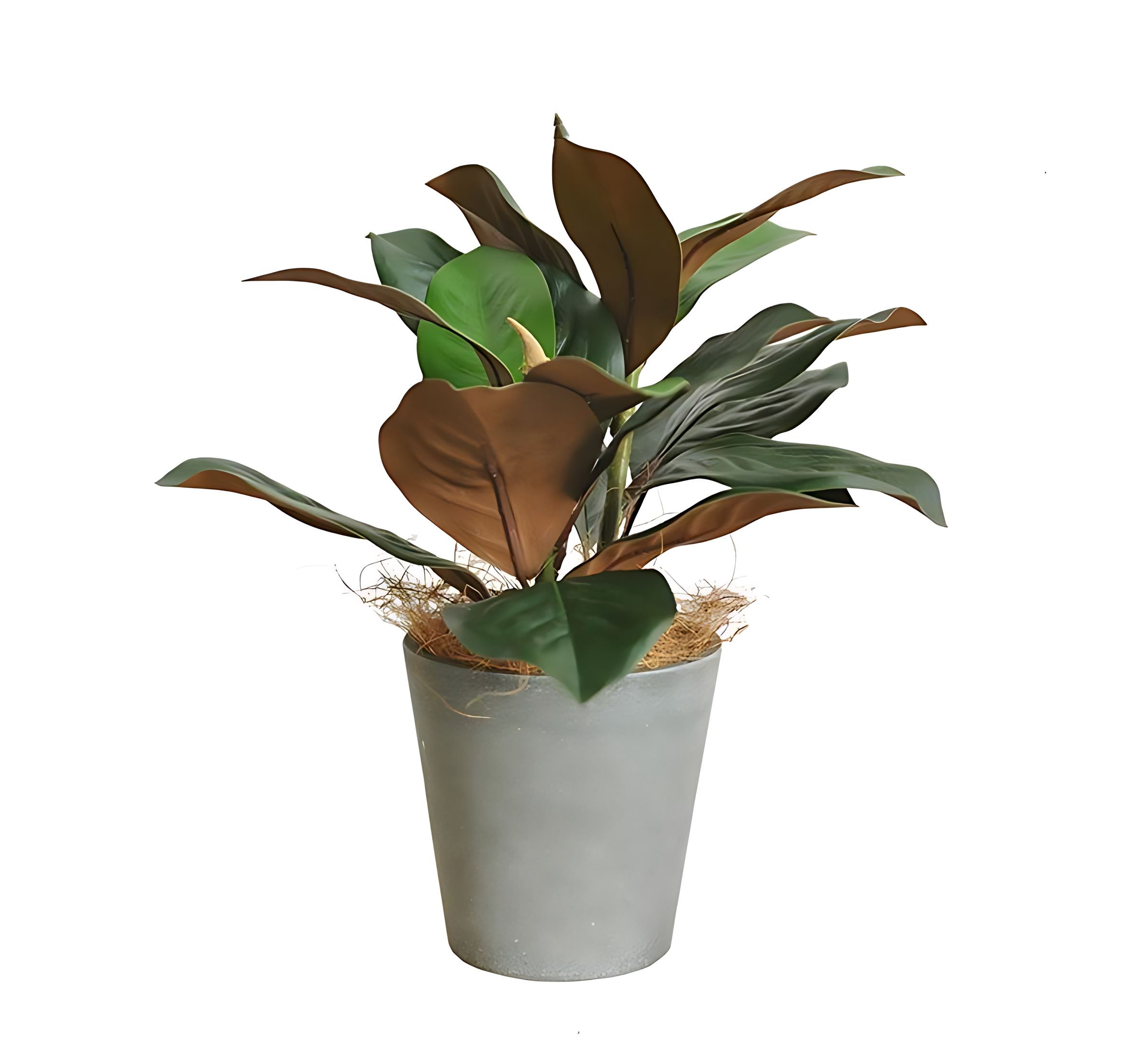 Primrue Simulated Green Plants, Desktop Decoration, Potted Plants ...