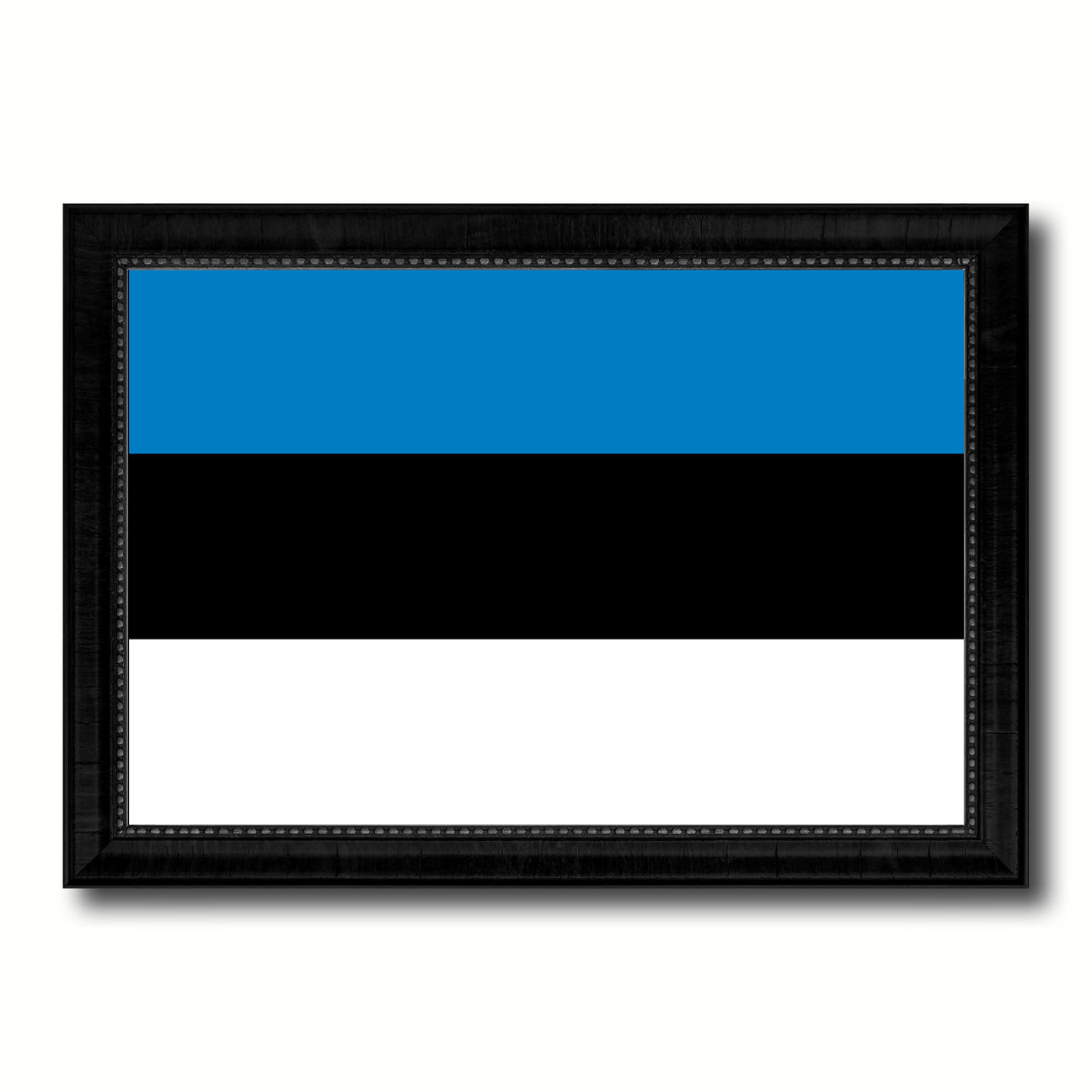 Spot Color Art Estonia Country Flag Framed Print on Canvas - Wayfair Canada
