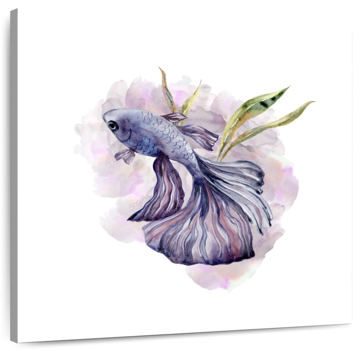 Elephant Stock Betta Fish | Wayfair