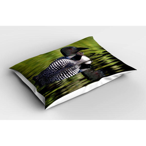 Ambesonne Loon Pillow Sham 2 Pack Seabird in Lake Outdoor Scene Green ...