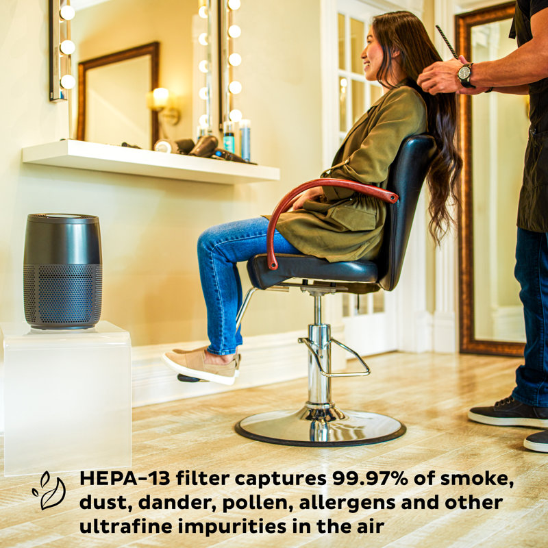 Instant Air Purifier with True HEPA & Reviews | Wayfair