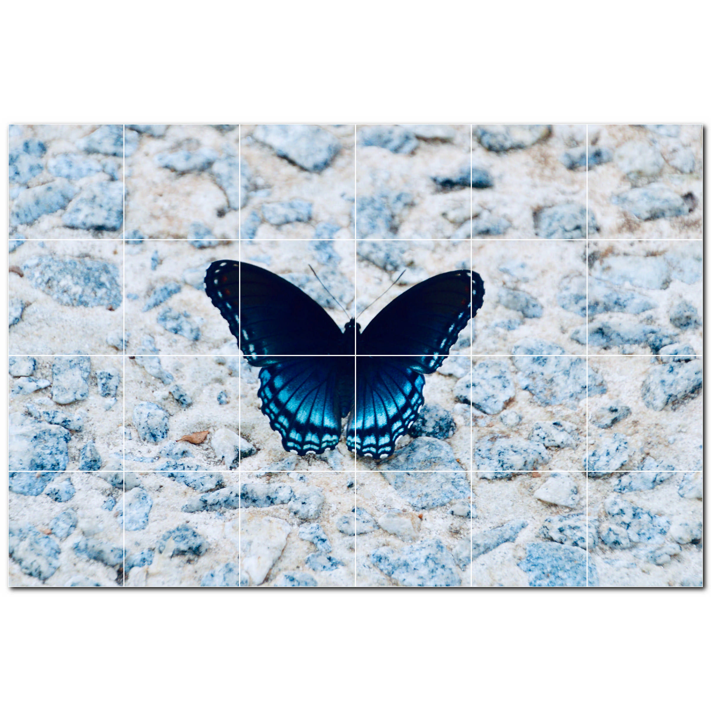 Picture-Tiles.com 12'' x 12'' Satin Ceramic Decorative Mural | Wayfair
