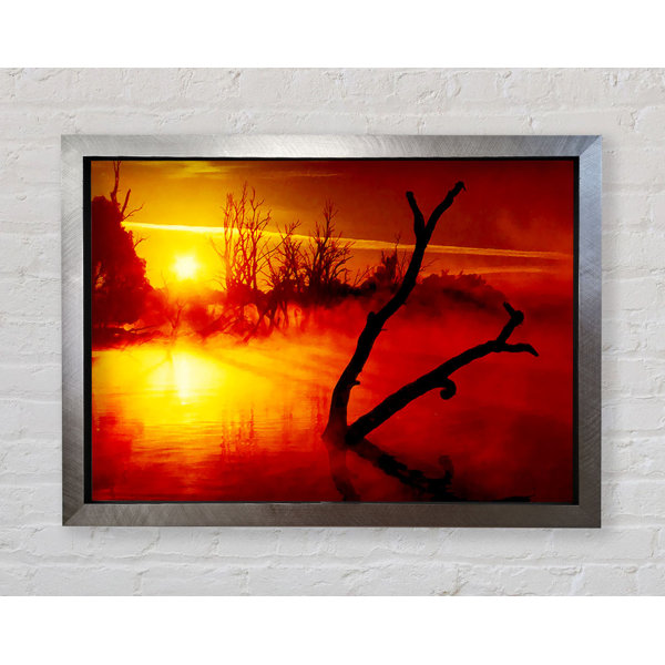 Bright Star Morning Dream - Single Picture Frame Art Prints | Wayfair.co.uk