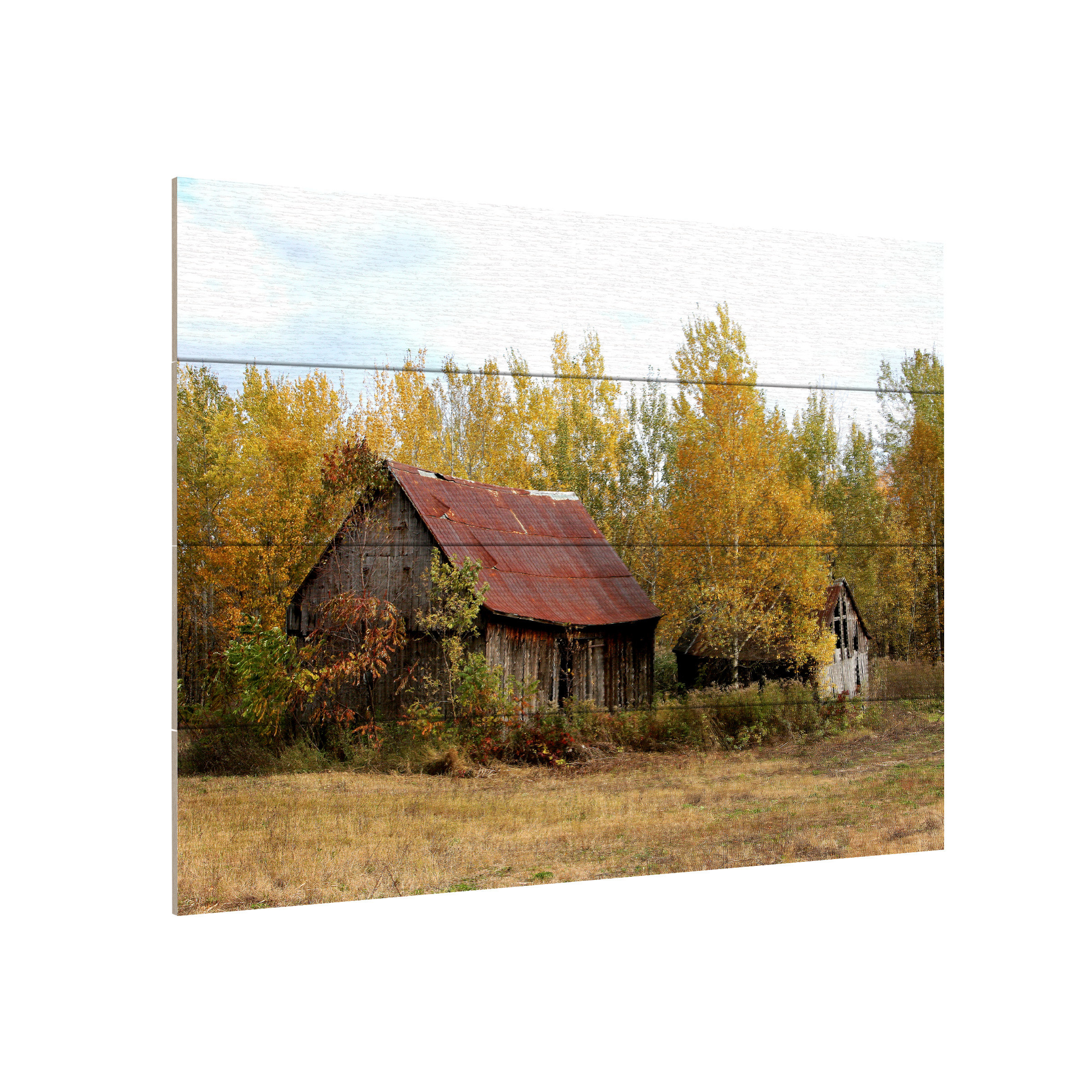 Trademark Art Barn 11 On Wood by The Lieberman Collection Print | Wayfair
