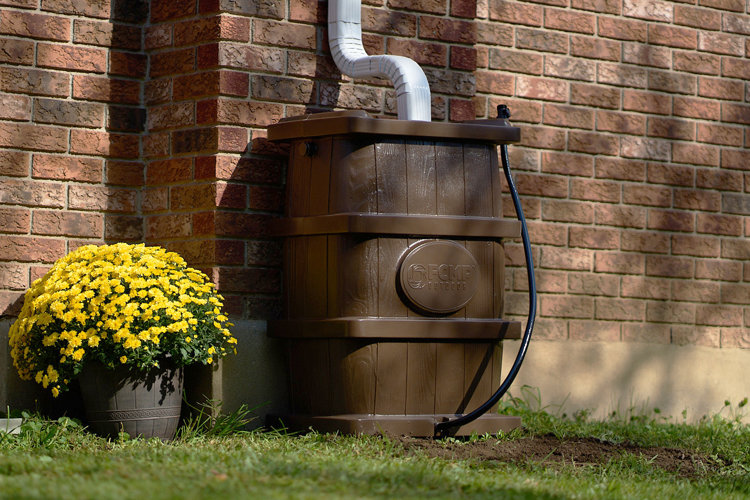 How to Collect Rainwater Using Rain Barrels | Wayfair