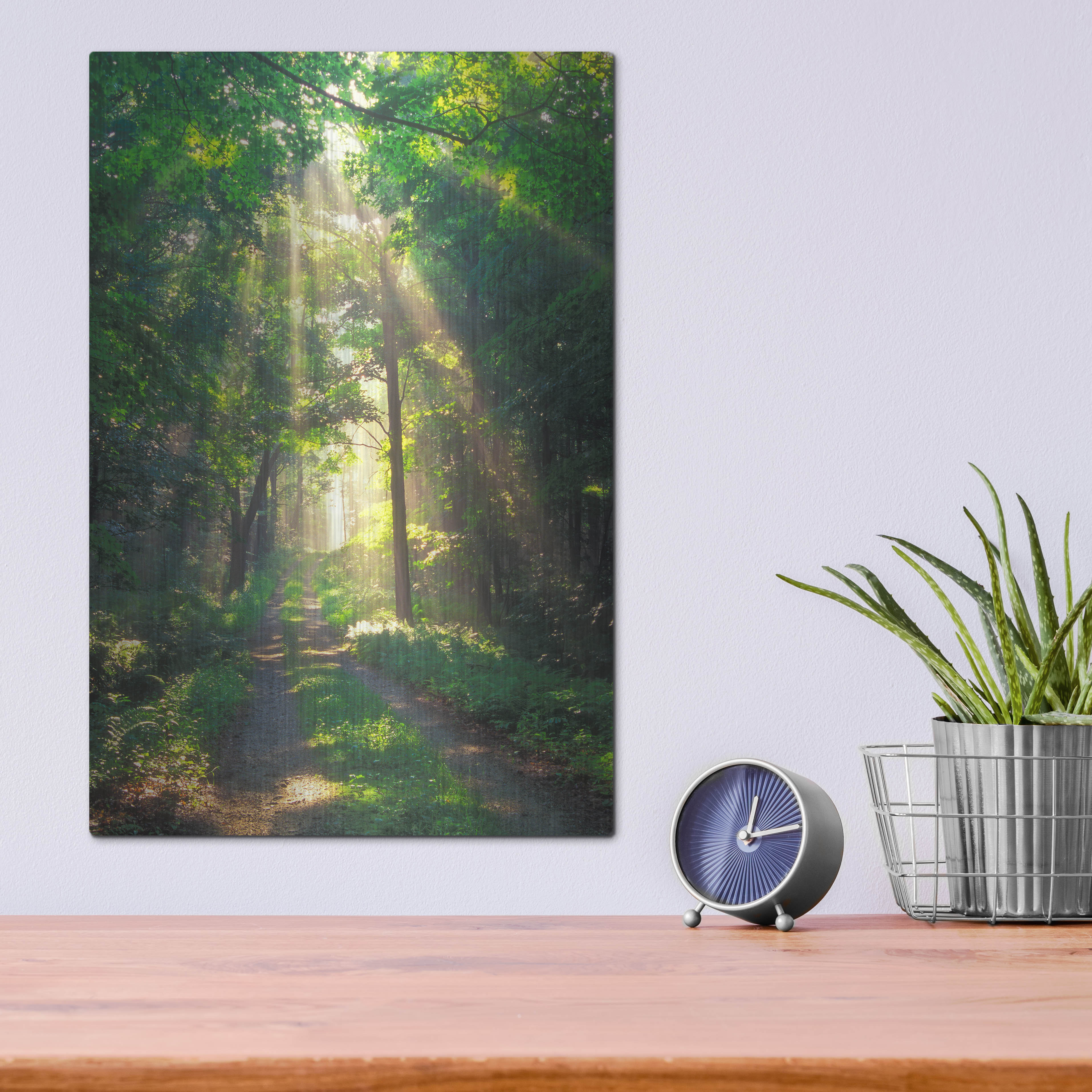 Winston Porter 'Forest Sunshine' by Patrick Zephyr Metal Wall Art | Wayfair