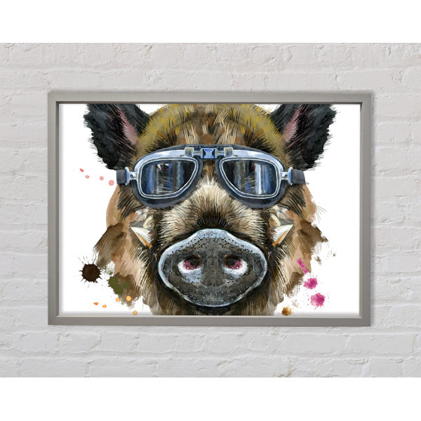 Bright Star The Boar In Glasses - Single Picture Frame Art Prints on ...