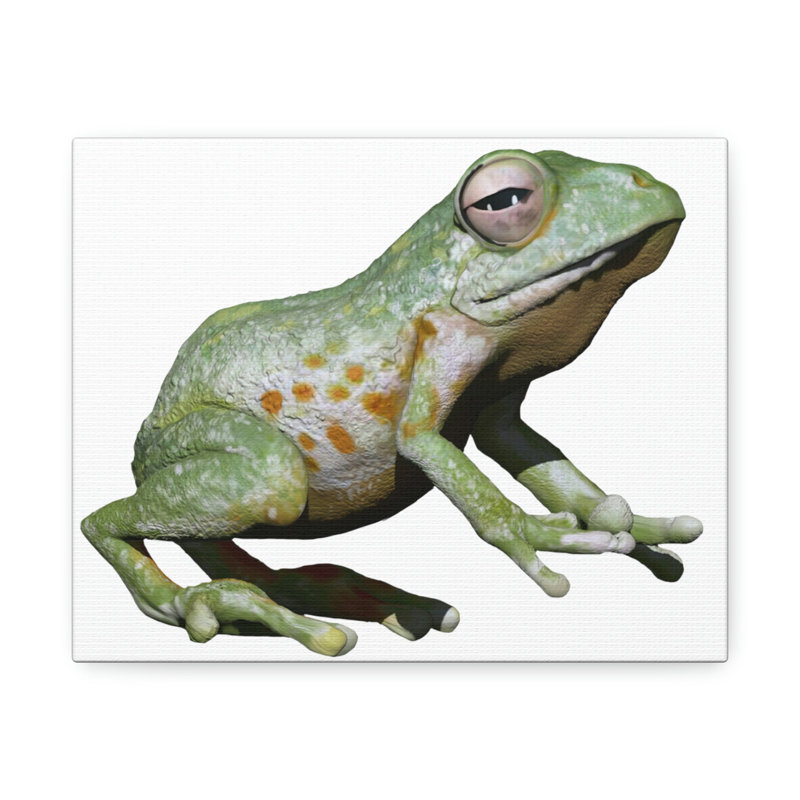 Latitude Run® Green Frog Stretched - Wrapped Canvas Illustration | Wayfair