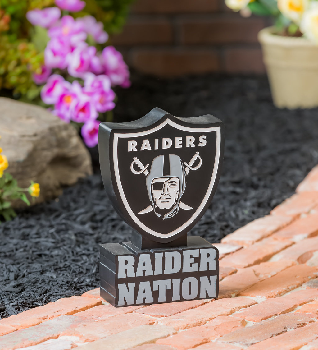 Evergreen Enterprises, Inc NFL Mascot Statue & Reviews | Wayfair