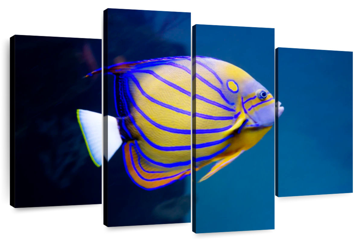 Ebern Designs Brampt Colorful Angelfish | Wayfair
