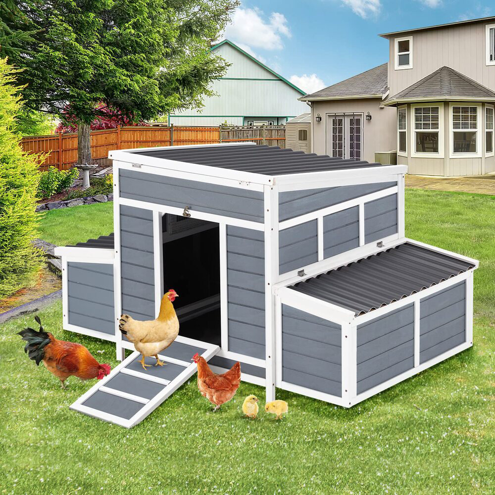 Tucker Murphy Pet™ Chicken Coop, 56" Large Wooden Chicken Hutch With 6 ...