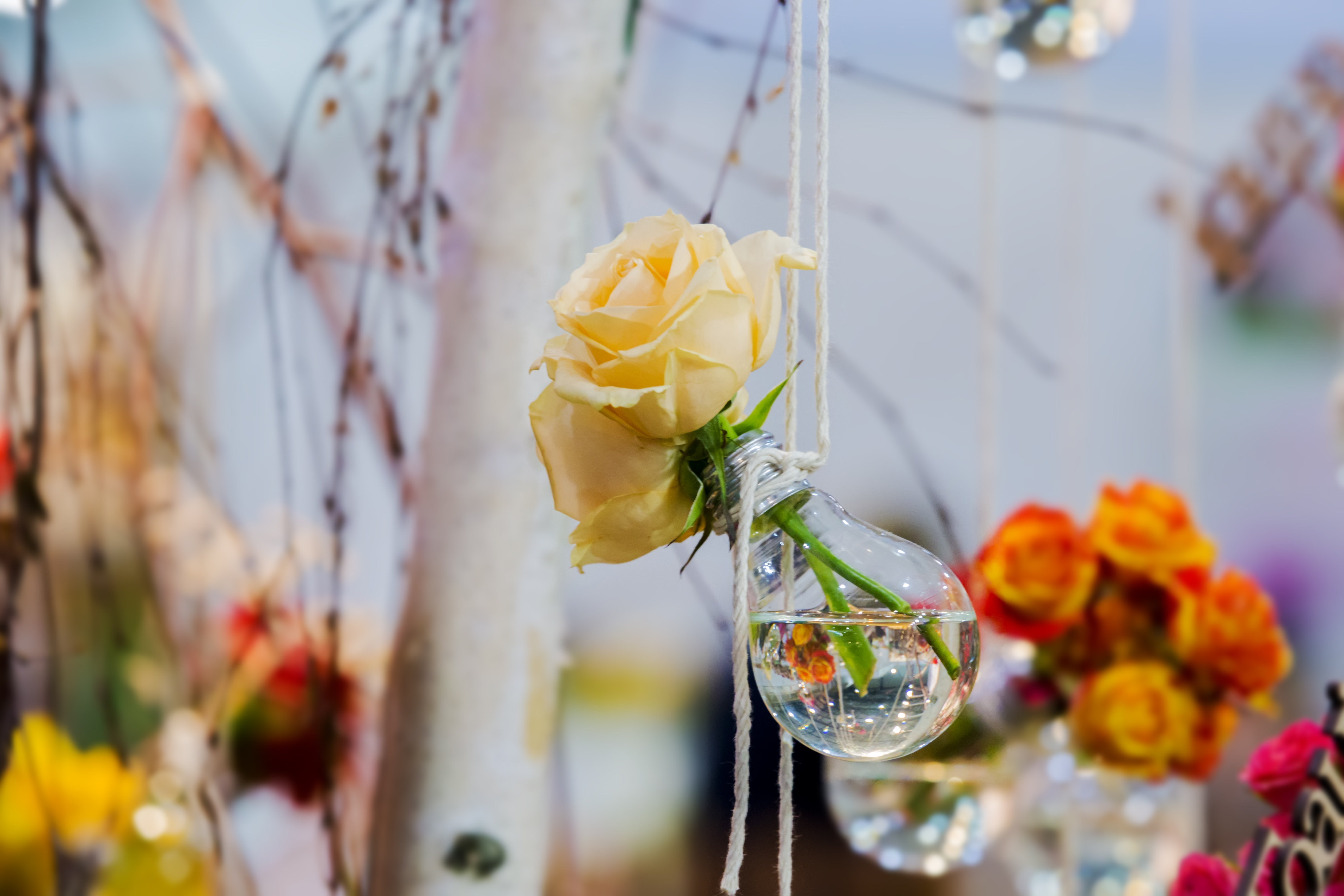 17 Stories Yellow Roses - Wrapped Canvas Photograph | Wayfair.ie