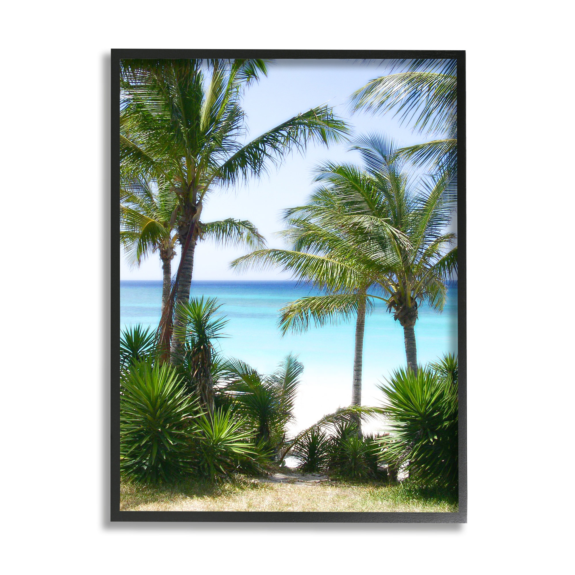 Stupell Industries Palm Trees Near Beach by Noah Bay - Print | Wayfair
