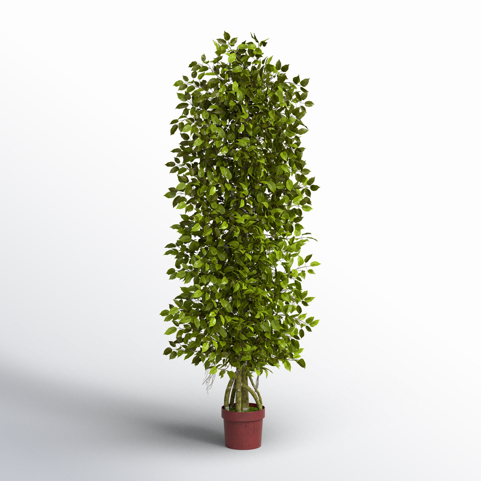 Birch Lane™ 6ft. Four Tier Mini Ficus Artificial Tree UV Resistant ...