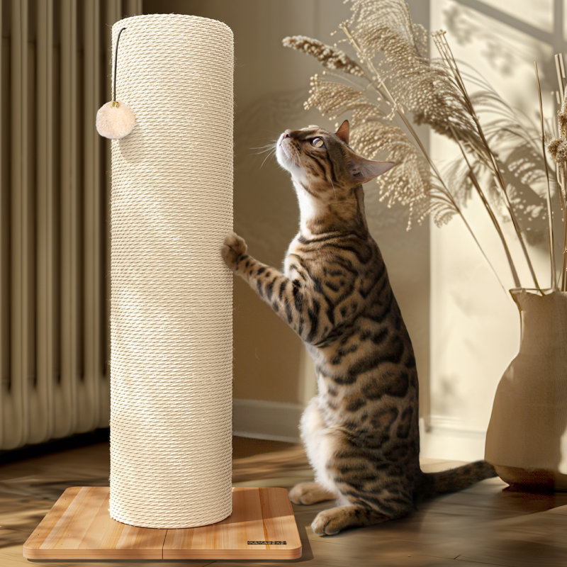 Tucker Murphy Pet™ 29.5" High Sisal Cat Scratching Post & Reviews | Wayfair